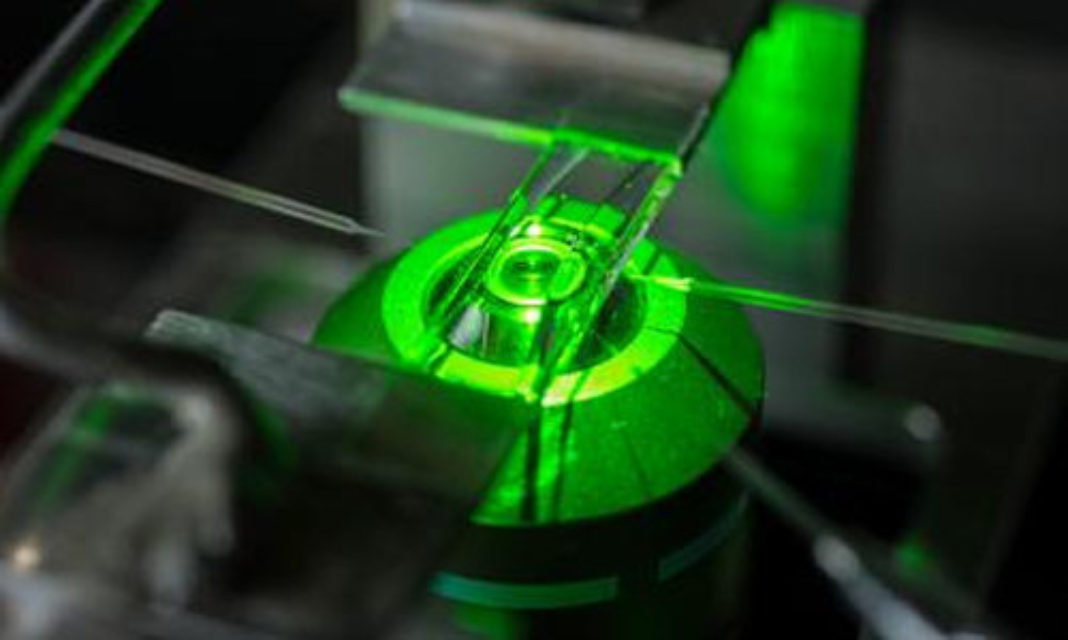 Mechanical Forces Affect T-Cell Recognition and Signaling