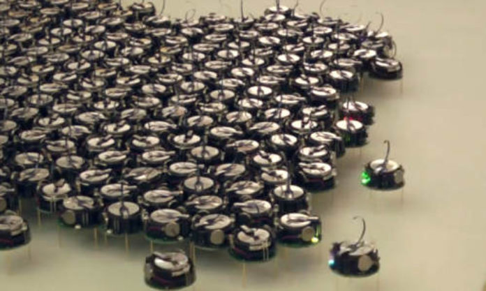 A self-organizing thousand-robot swarm
