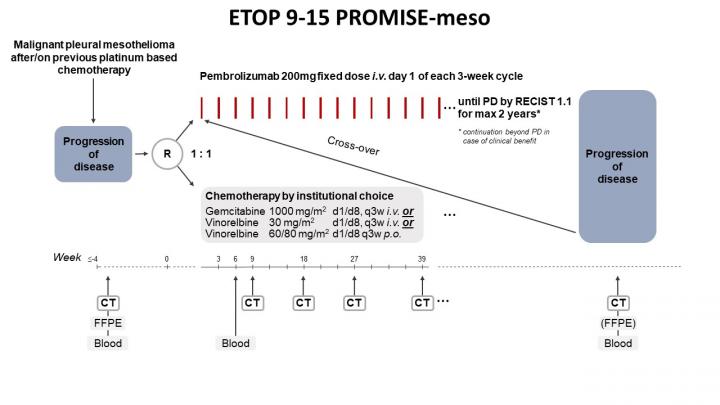 Mesothelioma trial suggests immunotherapy as an alternative to ...
