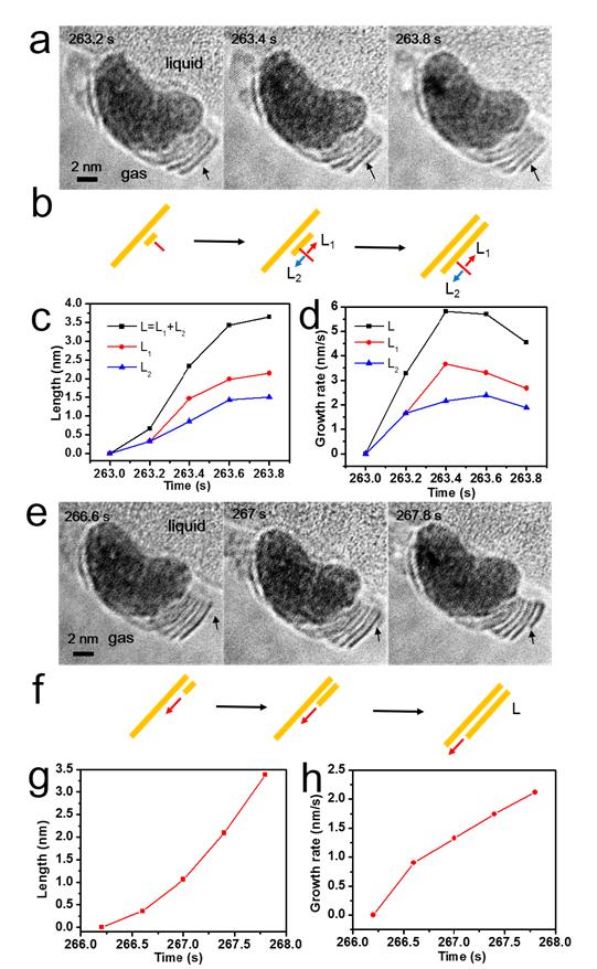 Tracking the atomic pathways by in-situ liquid cell TEM