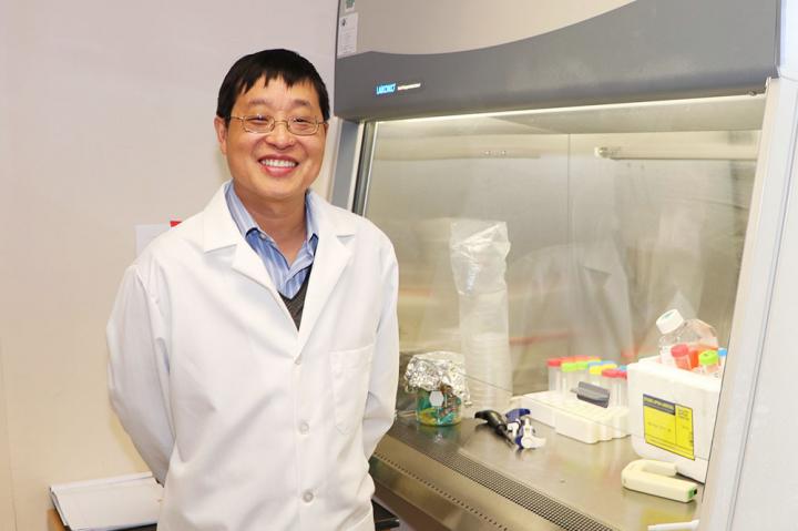 STING activation reduces graft-versus-host disease in a mouse model ...