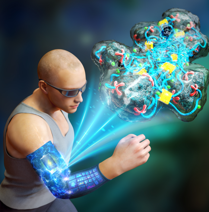 Development of stretchable and printable free-form lithium-ion ...