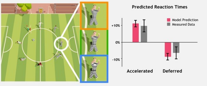 The power of visual influence - BIOENGINEER.ORG