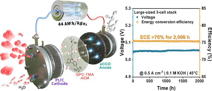 KIMS accelerates the era of green hydrogen production - BIOENGINEER.ORG