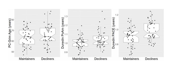 Aging Dna Methylation Based Measures Of Biological Aging And