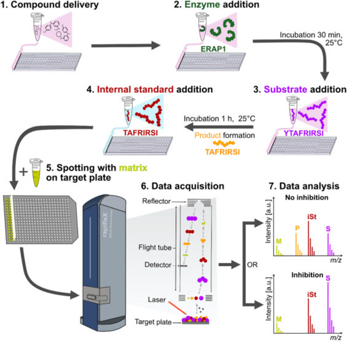 A new Assay screening method shows therapeutic promise for treating ...