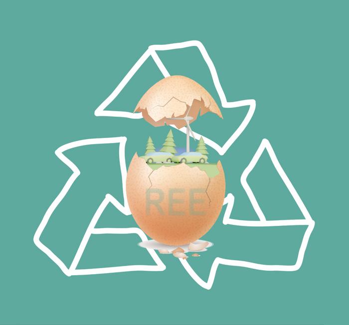 A cracking discovery – eggshell waste can recover rare earth elements