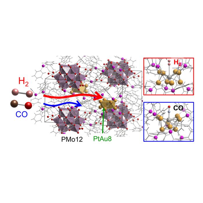 Mapping Gas Adsorption on Platinum and Gold ‘Crown’ Structures Linked