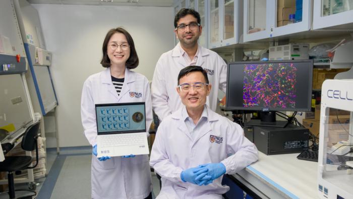 NUS Scientists Unveil Innovative ‘Micro-Gut’ Model to Explore Gut