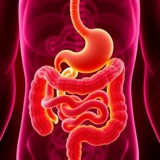 “Digestive ‘Treasure Chest’ Offers New Hope for Targeted Gut Drug