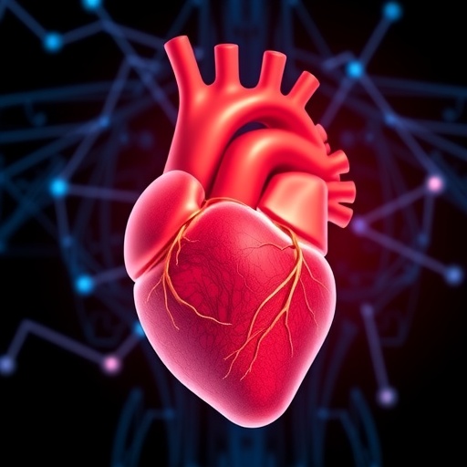 Revolutionary Cardiac ‘Digital Twins’ Provide Groundbreaking Insights