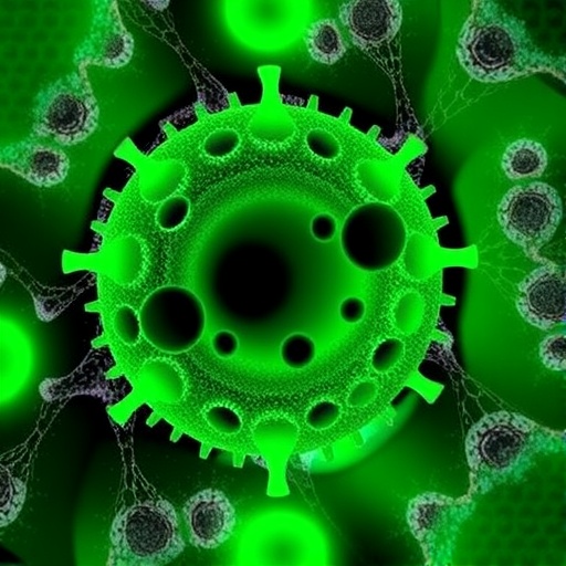 Desmocollin 2 Drives Epstein–Barr Virus Epithelial Entry