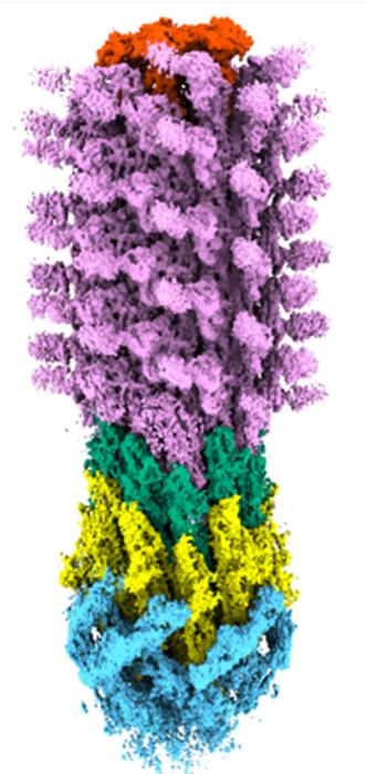 Researchers Focus on ‘Molecular Machine’ to Combat Antimicrobial