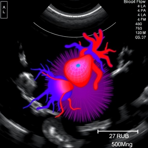Assessing Blood Flow in Preterm PDA via Echocardiography - BIOENGINEER.ORG