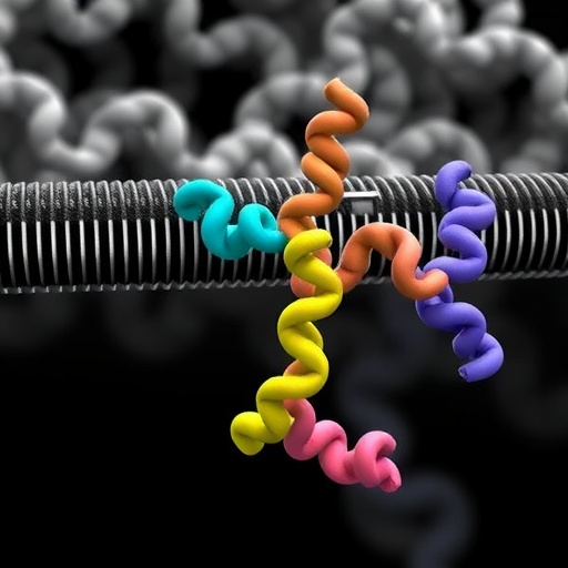 Allosteric Modulators Shift GPCR G Protein Selectivity - BIOENGINEER.ORG
