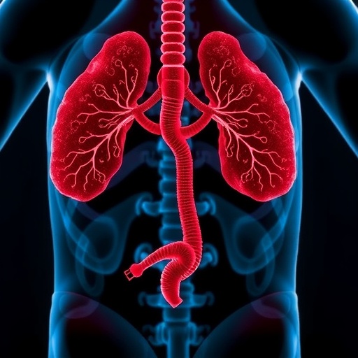 Almost 20% of Urinary Tract Infections Traced to Contaminated Meat ...