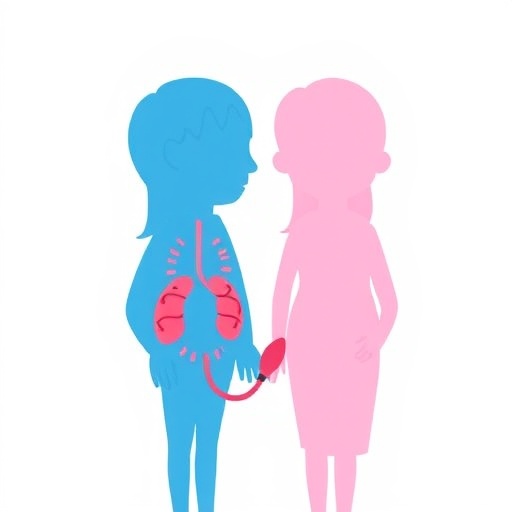 Bladder Cancer: Exploring Biological and Clinical Gender Differences ...