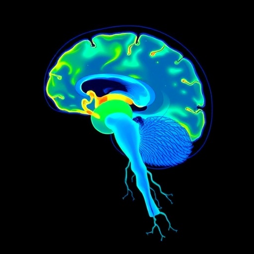 High-Resolution Neural Coding in Auditory Midbrain Revealed ...
