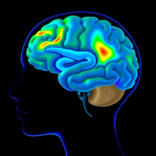 Sulcal Pits: New Insights into Sex-Related Brain Differences ...