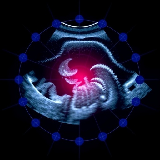Revolutionary Quantum Approach Enhances Ultrasound Fetal Classification ...