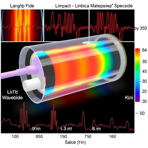Compact THz Absorption Spectroscopy with LiNbO3 Waveguide