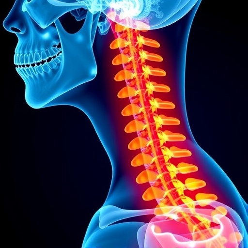 FRAX® and FRAXplus® Effectively Forecast Vertebral Fractures