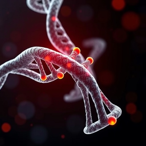 Defective DNA Repair Mechanism Speeds Up Aging Process - BIOENGINEER.ORG