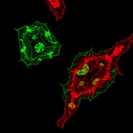 SEL1L-HRD1 ERAD Boosts Glucagon in Islet α Cells